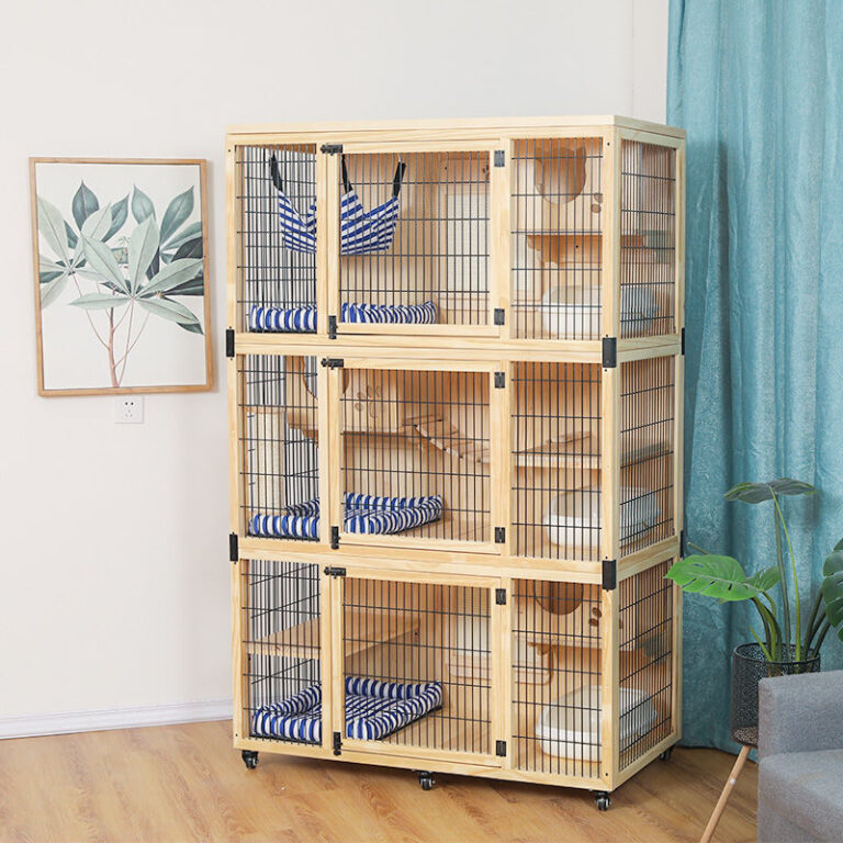 11 Rumah Kucing Buatan Sendiri 2025 • Semuanya Tentang Kucing